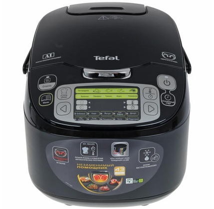 Tefal Efficient RK815832 Multibişirici onlayn kredit və nağd satışı